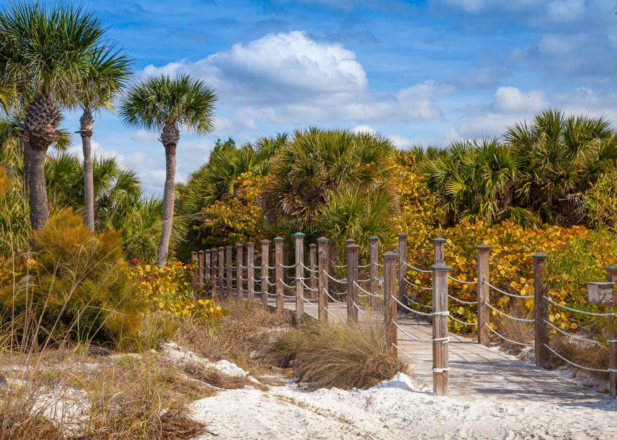 Siesta Key Vacation Rentals | Property Management | SkyRun