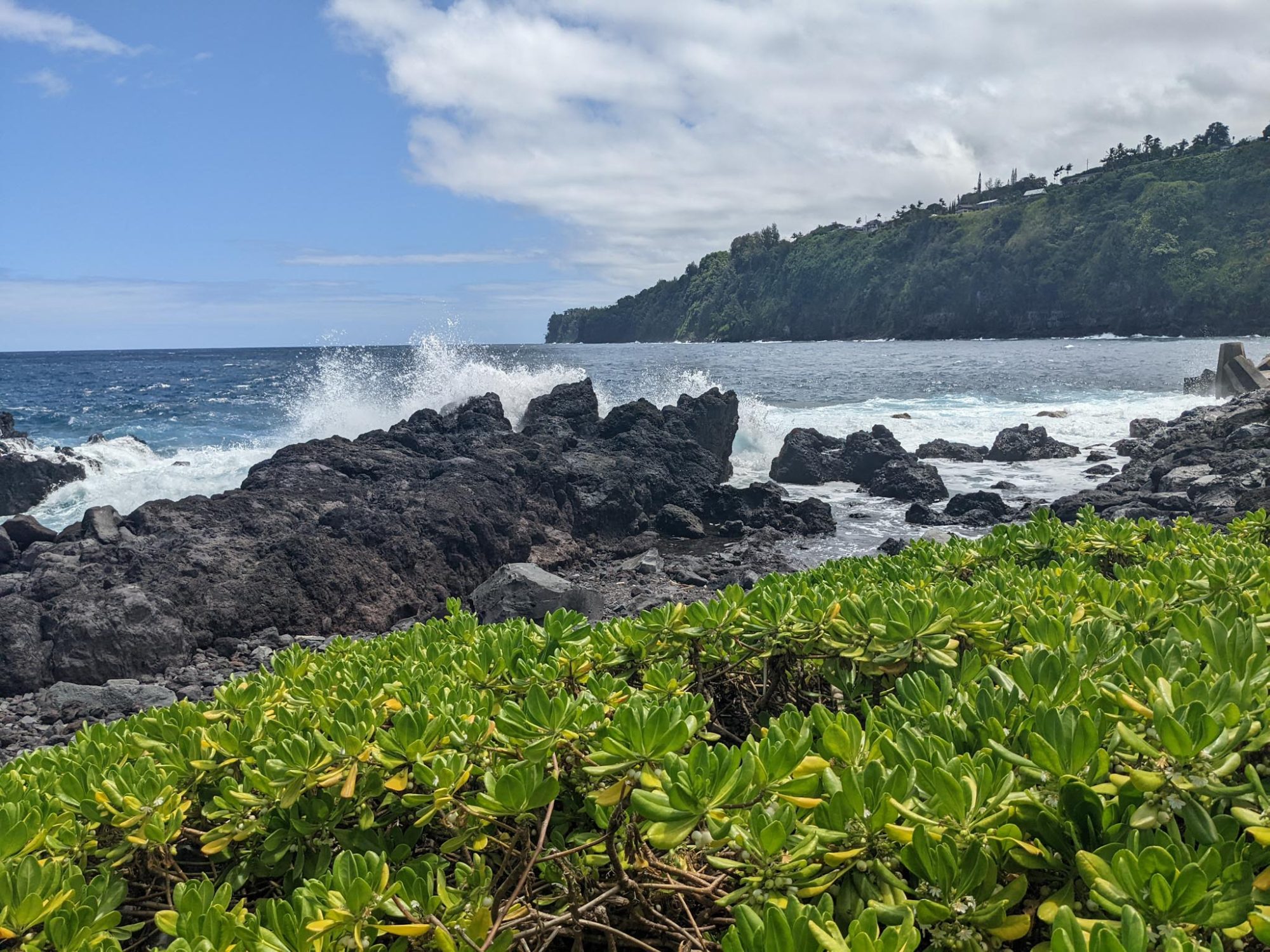 Kona Coast Vacation Rentals - Airbnb & Short Term Rentals in Kona Coast ...