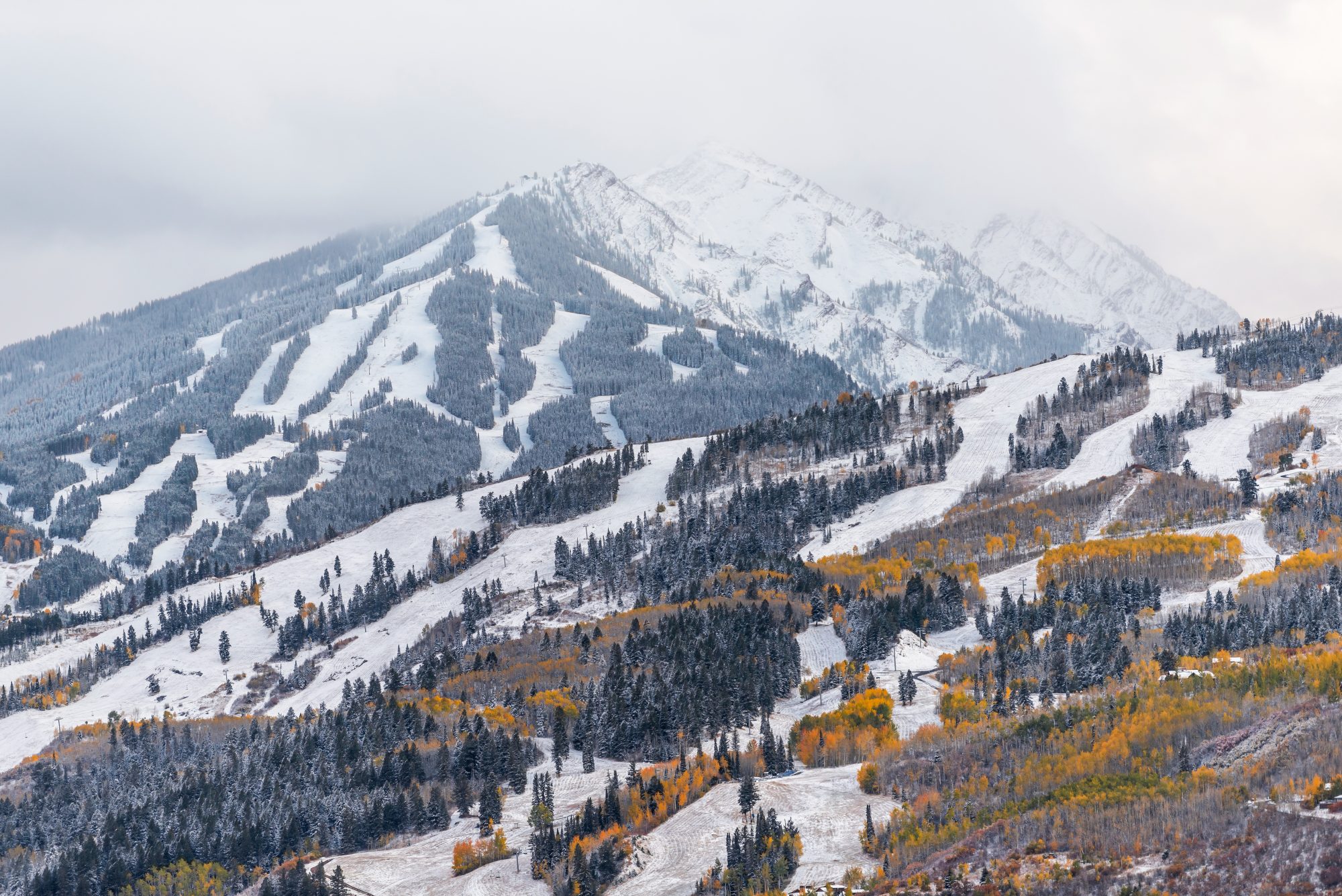 Aspen Vacation Rentals - Aspen